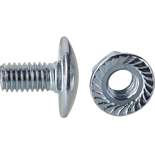 Flachrundschrauben 100 Stück - M6 x 12 mm